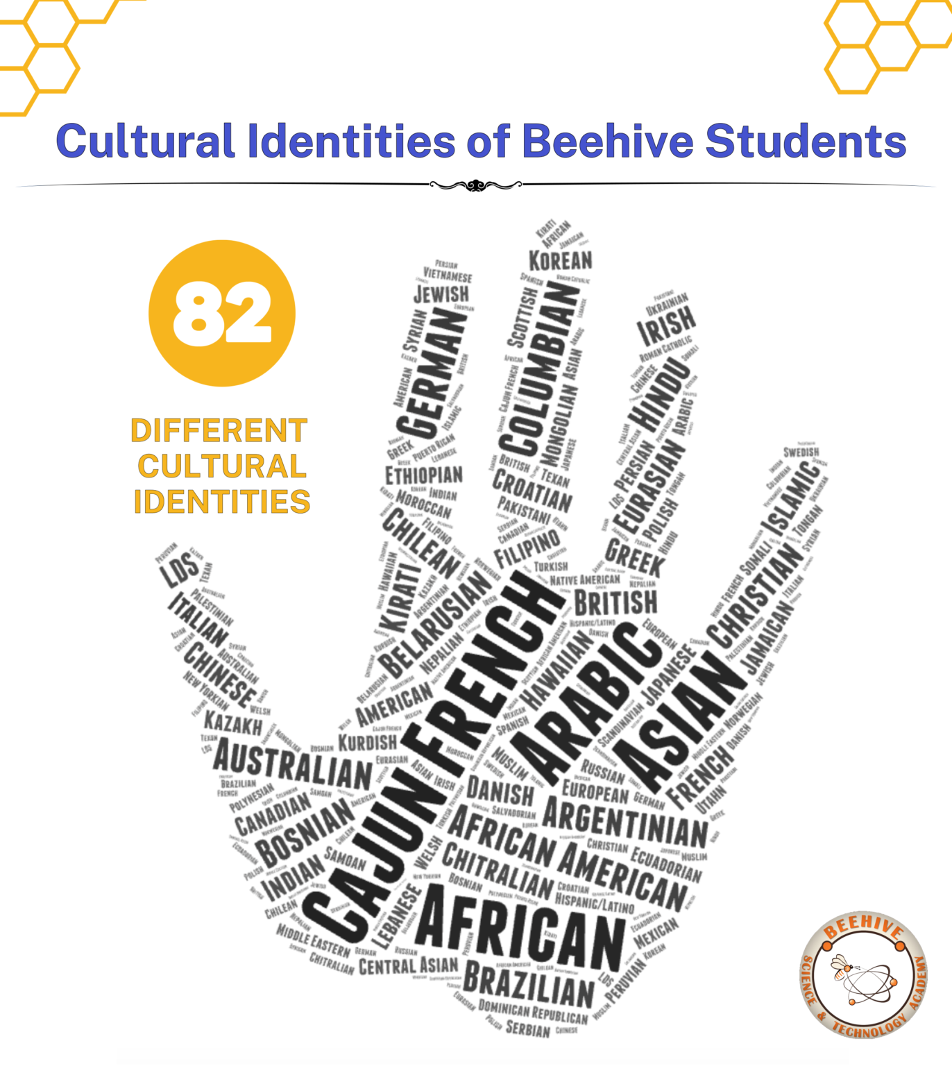 Demographics of Beehive Community | Beehive Science & Technology Academy